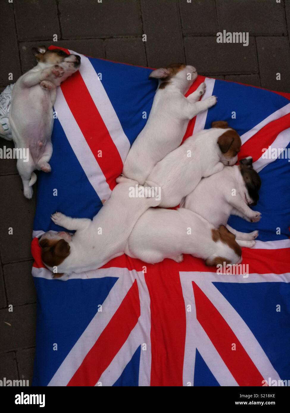 Best ways hi-res stock photography and images - Alamy