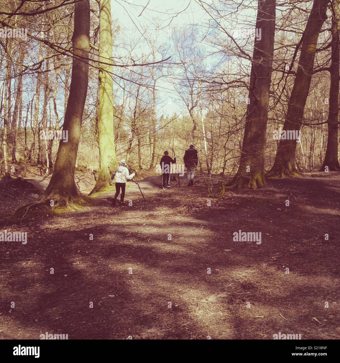 Family walk in woods during autumn Stock Photo - Alamy