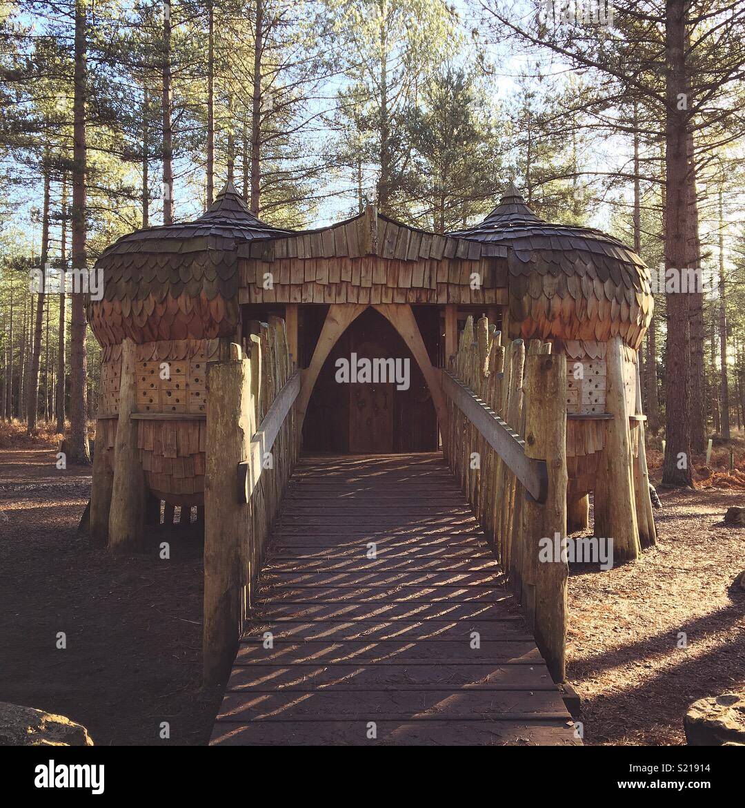 Moors valley forest hi-res stock photography and images - Alamy