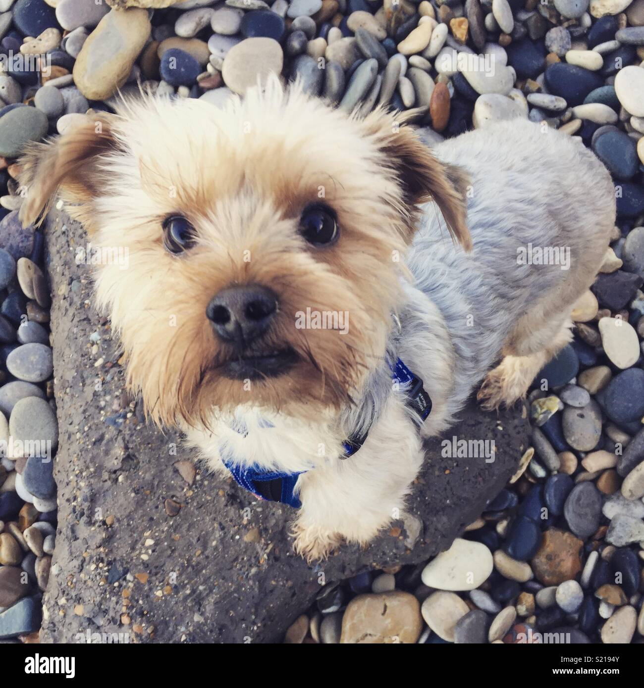 Explore the beach hi-res stock photography and images - Alamy