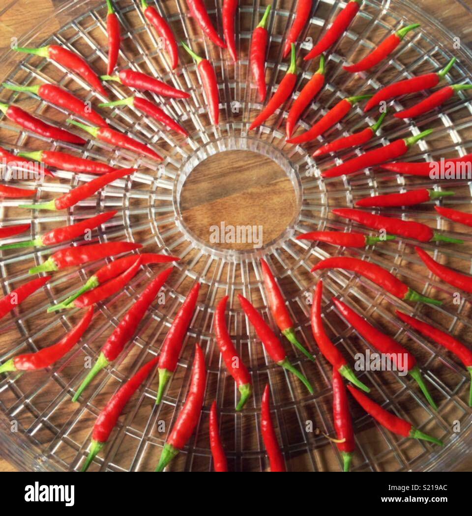 Gyo circle hi-res stock photography and images - Alamy