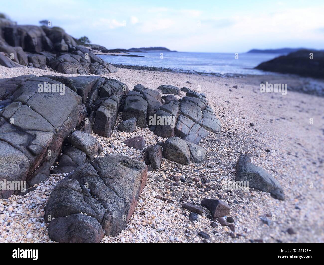 Scottish sea shell beach Stock Photo - Alamy