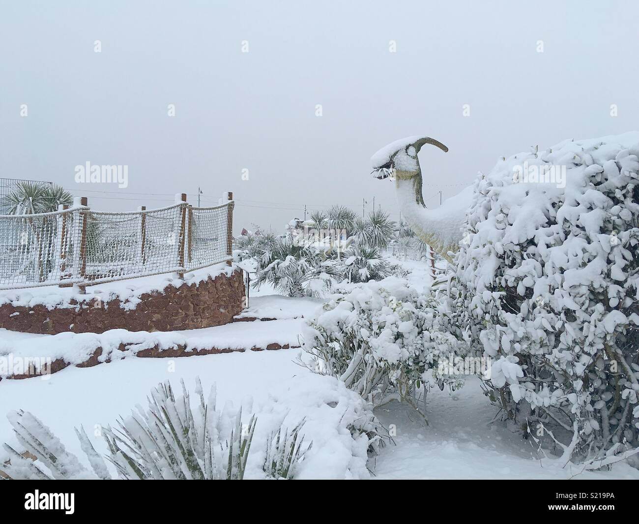 Dinosaur snow hi-res stock photography and images - Alamy