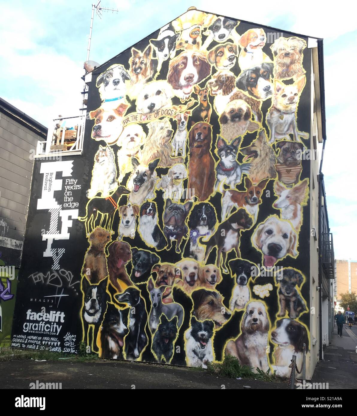 Brighton dogs street art hi-res stock photography and images - Alamy