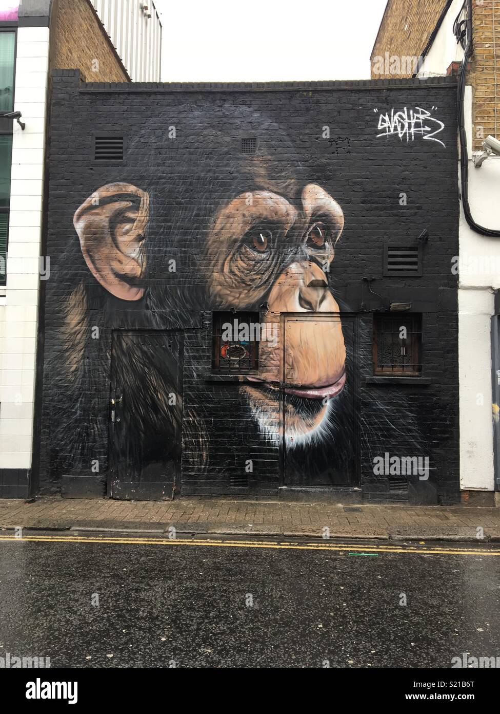 Monkey graffiti hi-res stock photography and images - Alamy