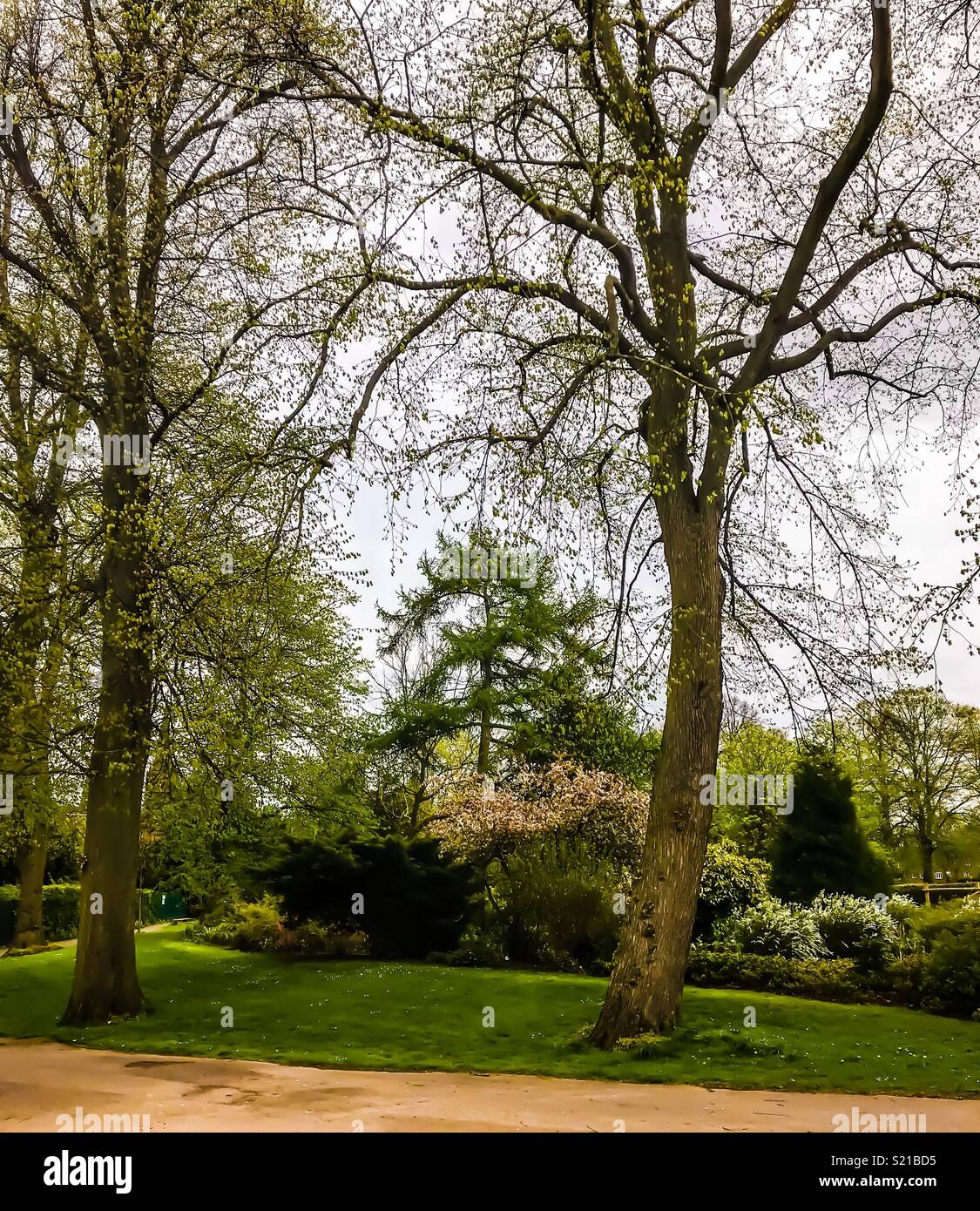 Beacon park lichfield hi-res stock photography and images - Alamy