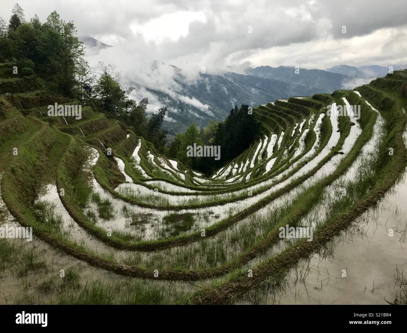 Longji hi-res stock photography and images - Alamy
