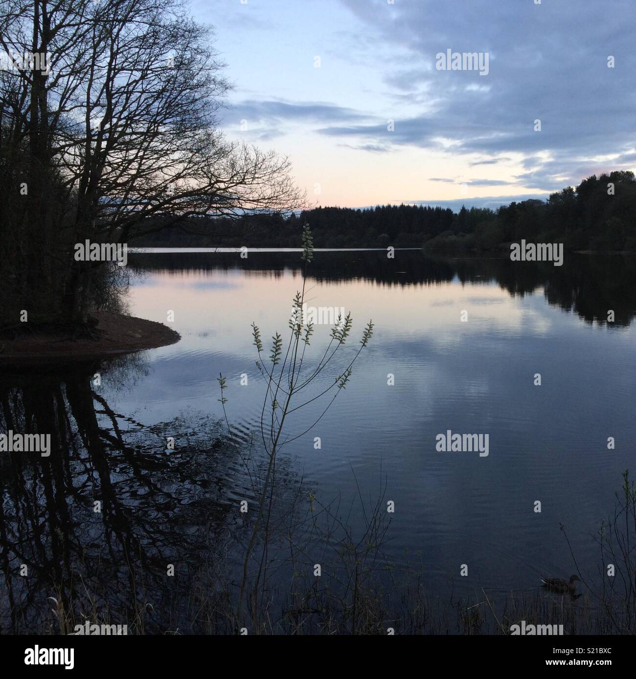 Wayoh reservoir hi-res stock photography and images - Alamy