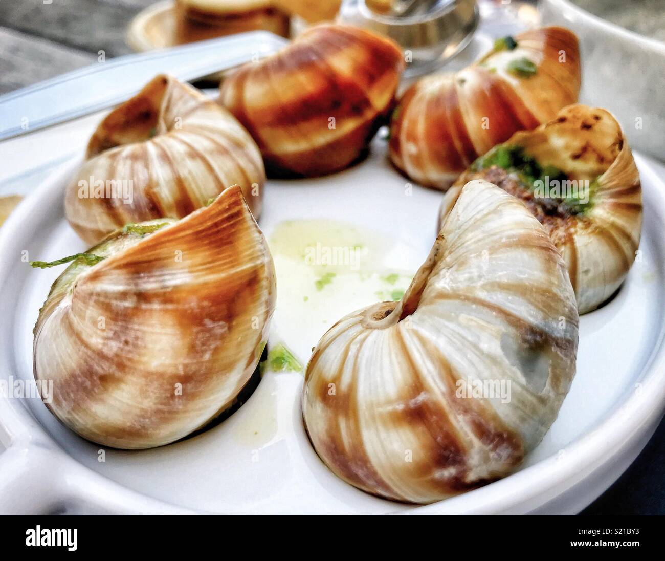 Snails- oozing garlic and parsley. Finger-lickingly amazing food Stock ...