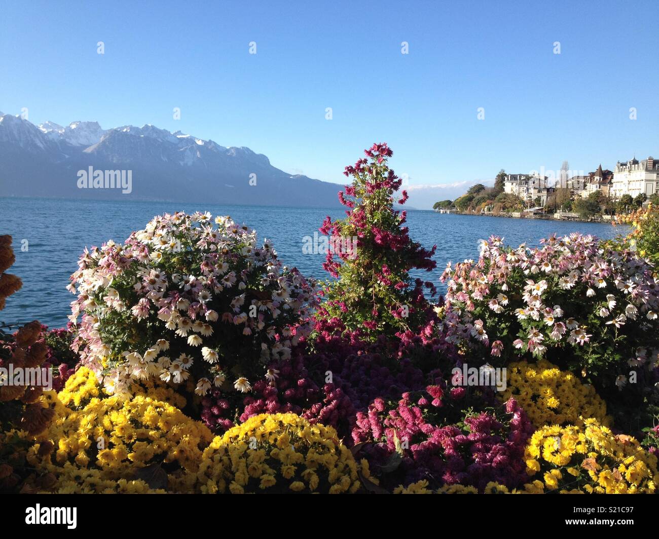 Lake geneva switzerland winter hi-res stock photography and images - Alamy