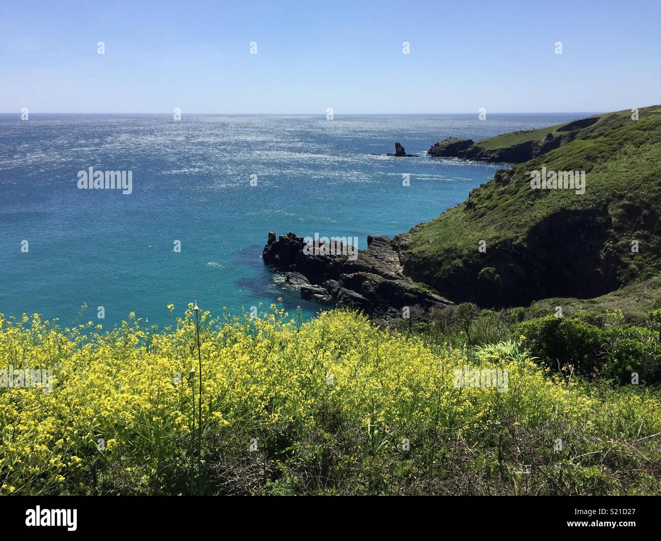 Blue view the lizard point hi-res stock photography and images - Alamy