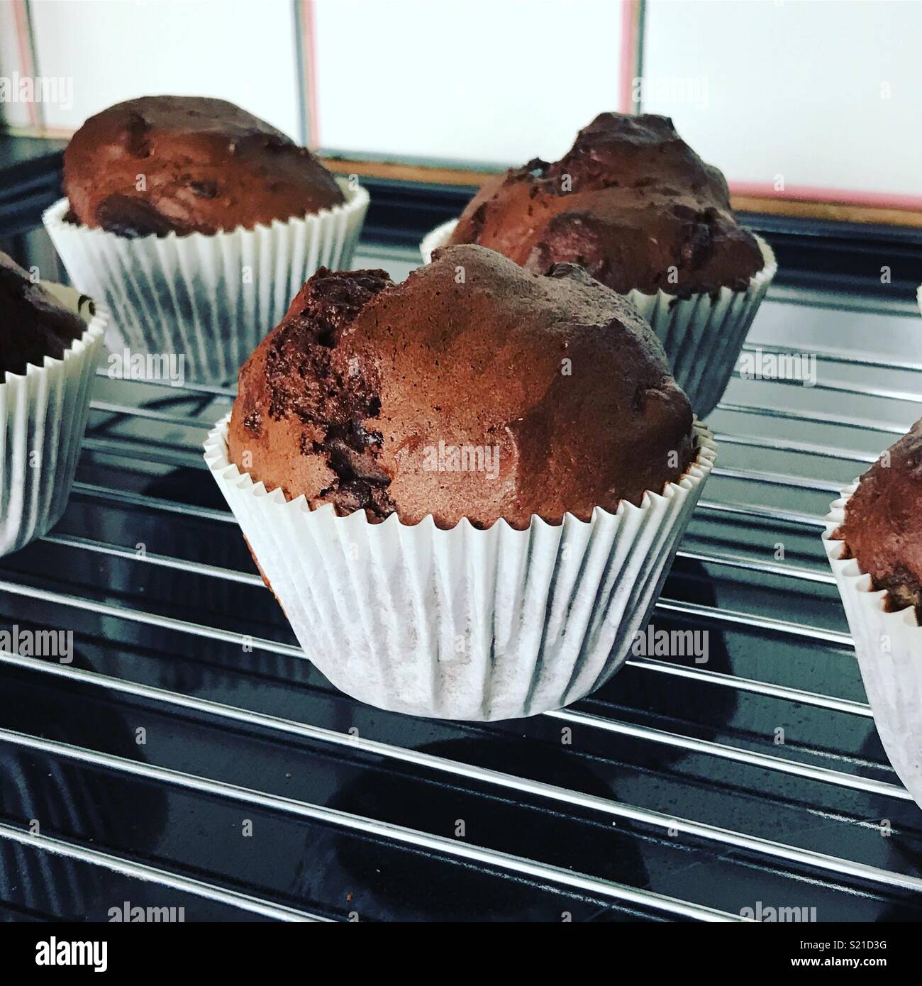 The smell of yummy warm mini Cupcakes are filling the house Stock Photo ...