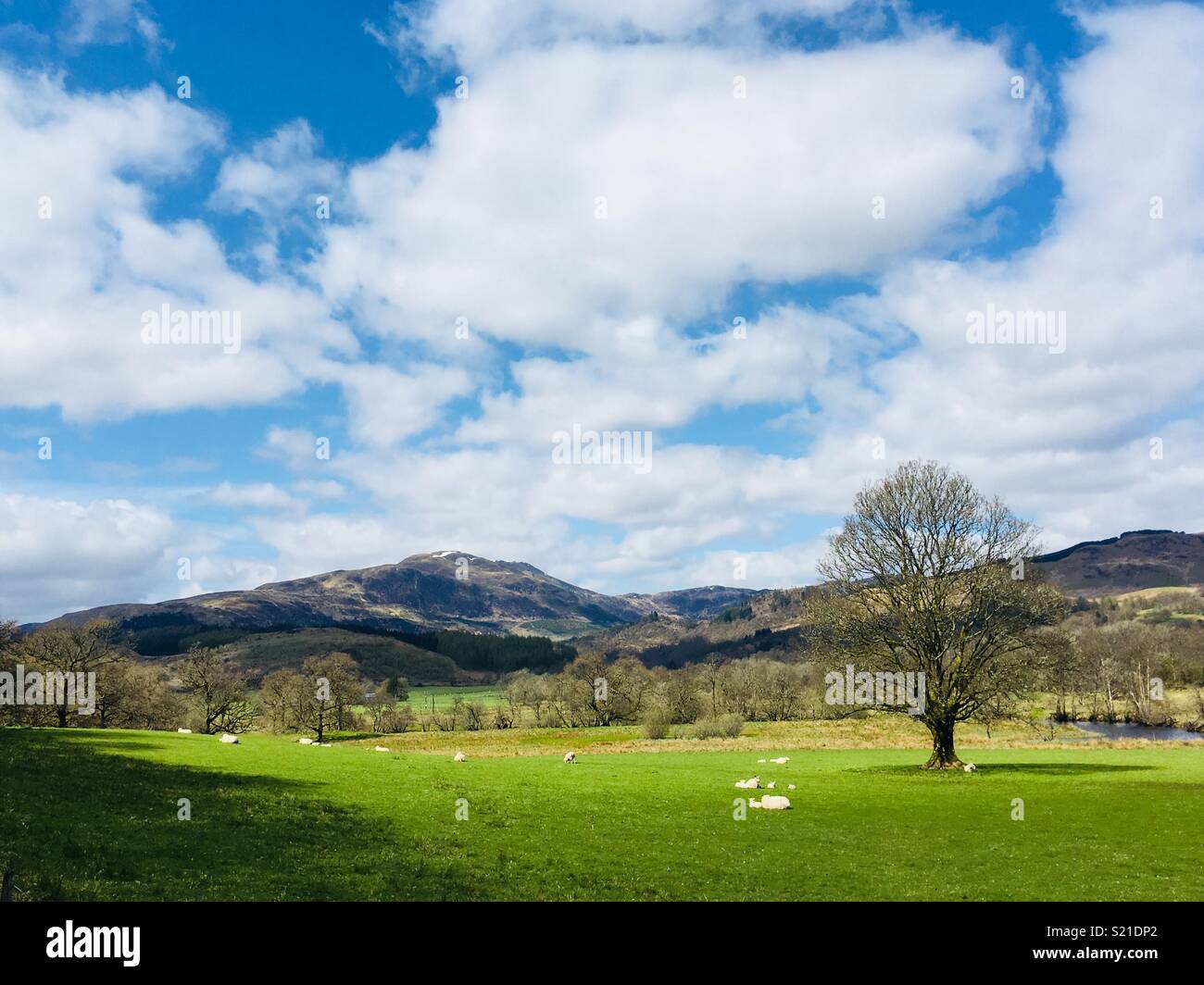Spring comes to the Scottish highlands Stock Photo - Alamy