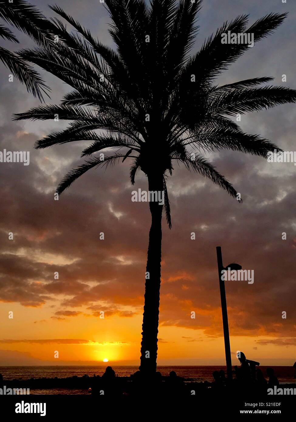 Palm Tree Sunset Stock Photo - Alamy