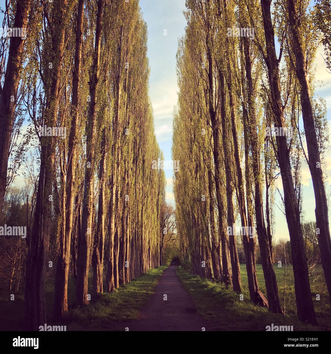 Fletcher moss park manchester hi-res stock photography and images - Alamy