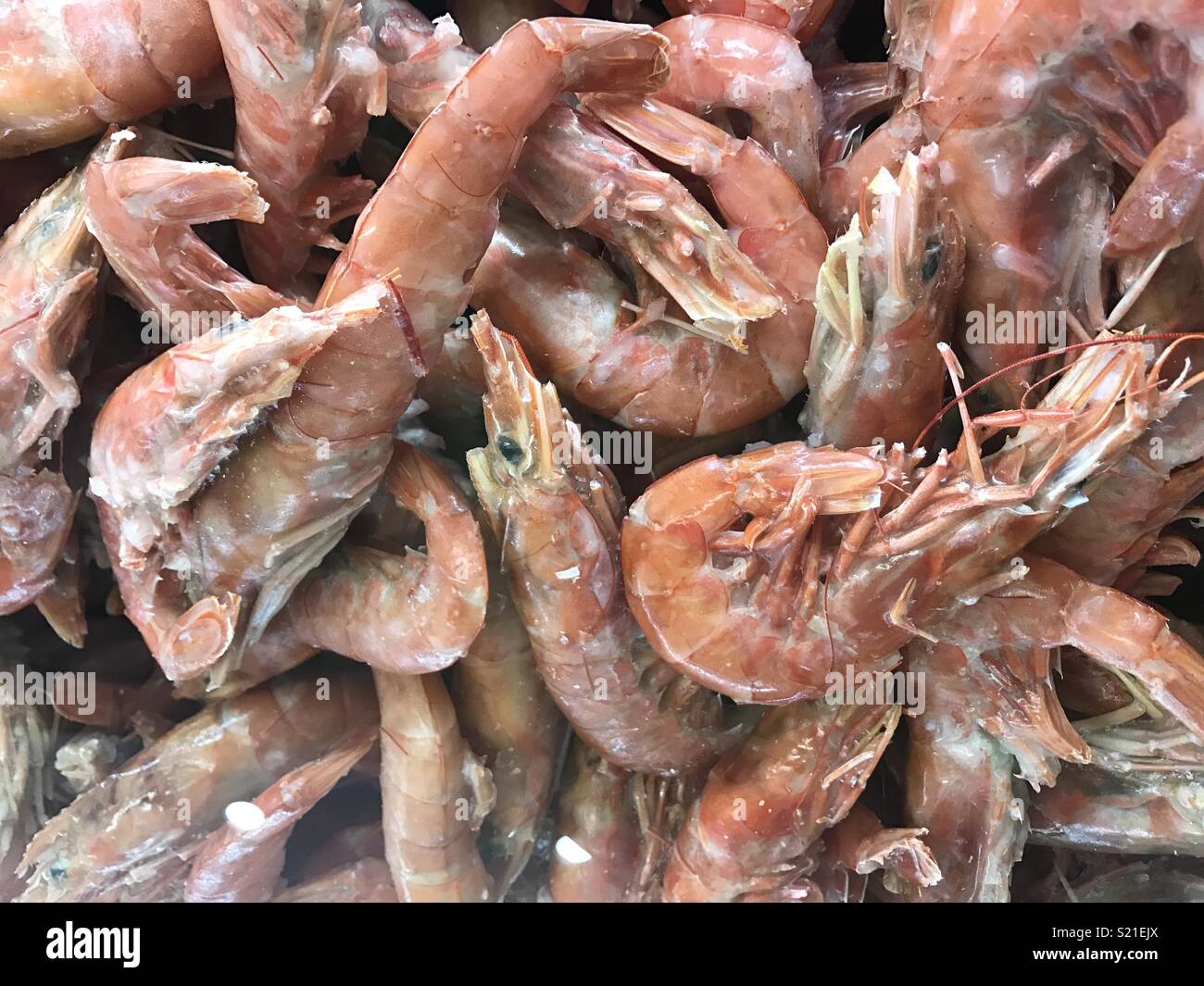 Something fishy food hi-res stock photography and images - Alamy