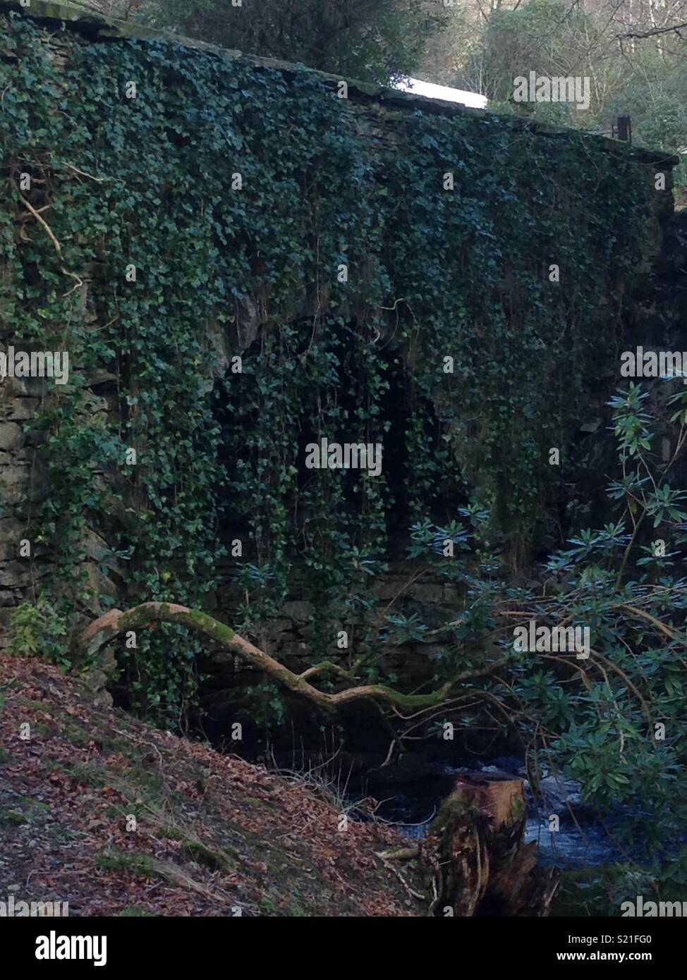 Ivy bridge hi-res stock photography and images - Alamy