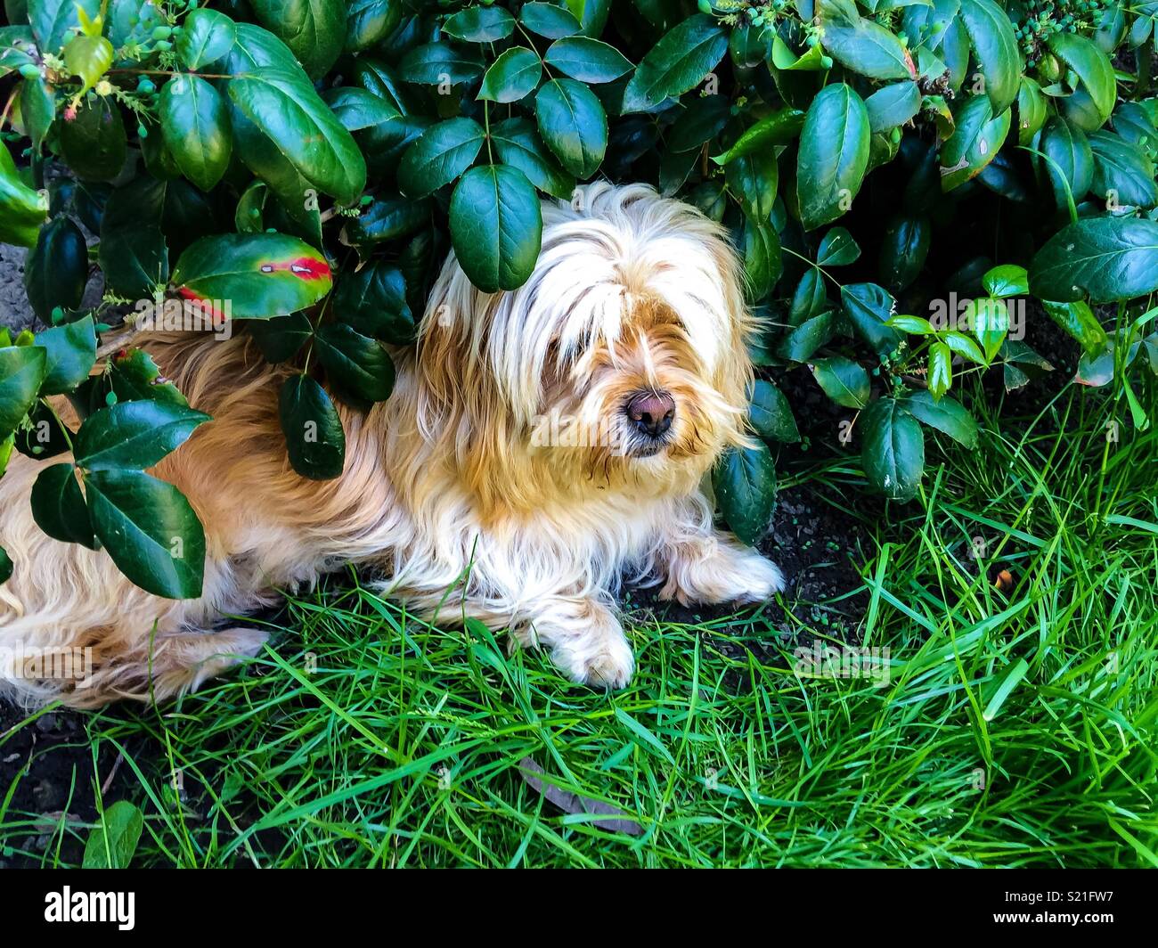 1234567 hi-res stock photography and images - Alamy