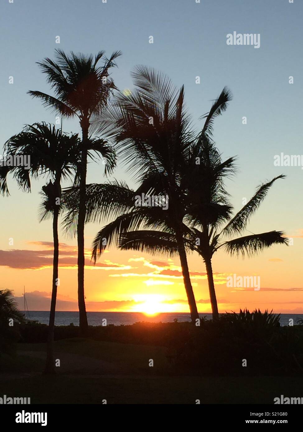 No filters hi-res stock photography and images - Alamy