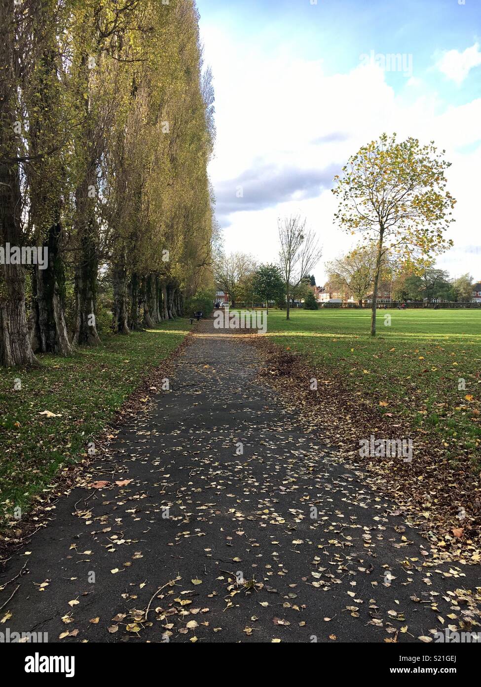 Ladybarn hi-res stock photography and images - Alamy