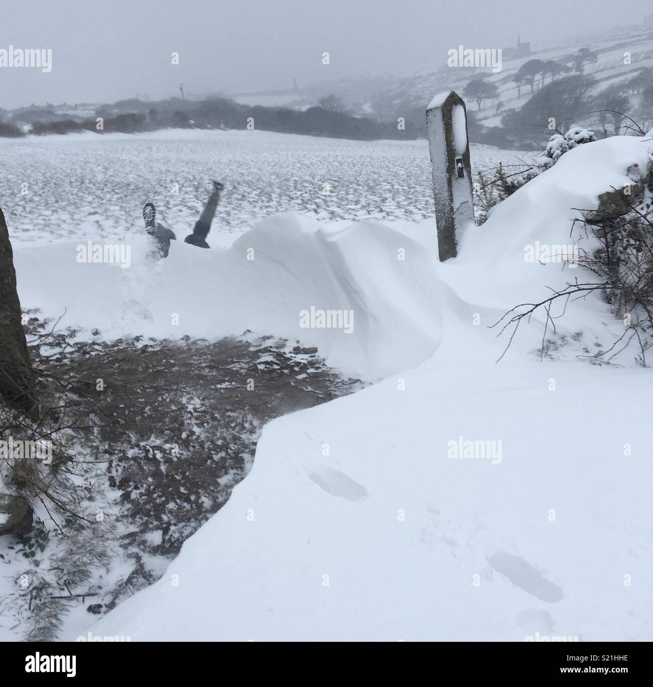 The snow drift Stock Photo - Alamy