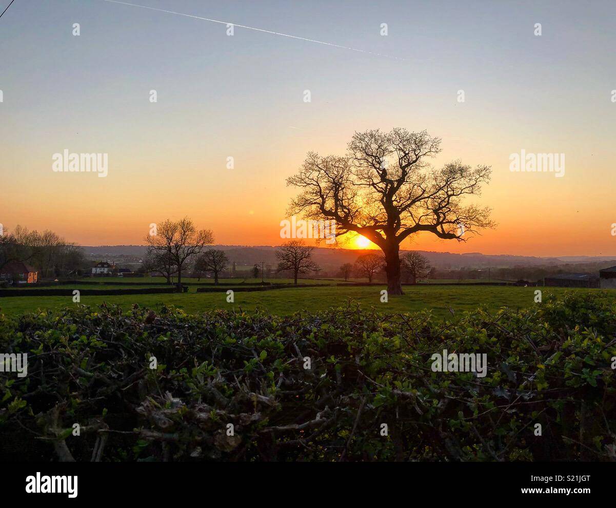 Barlaston hi-res stock photography and images - Alamy