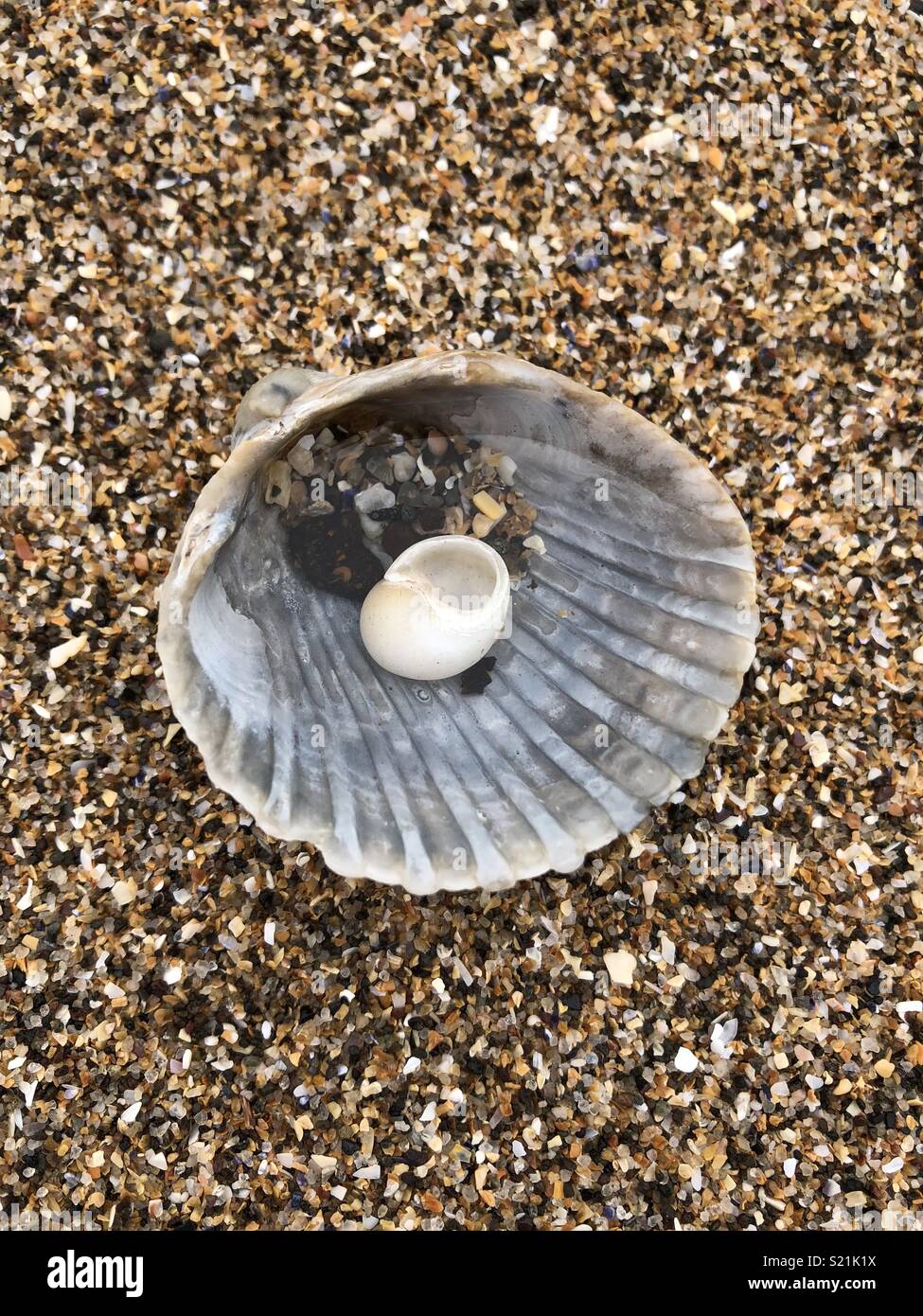 Shell pool hi-res stock photography and images - Alamy
