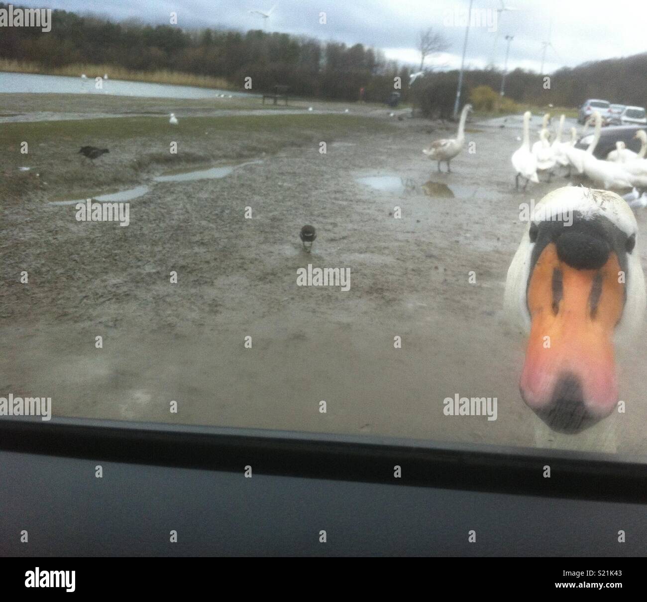 I can see u Stock Photo - Alamy