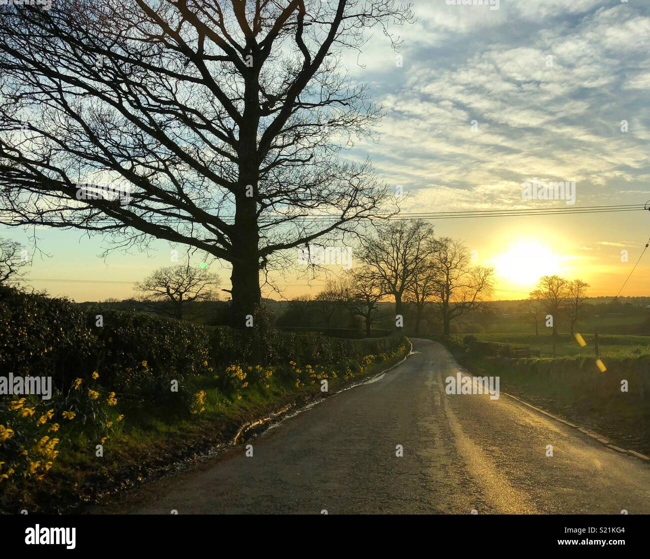 Spring drive hi-res stock photography and images - Alamy