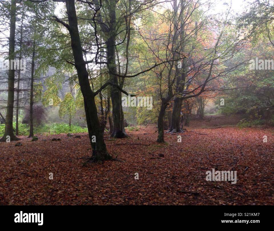 Cardenden hi-res stock photography and images - Alamy