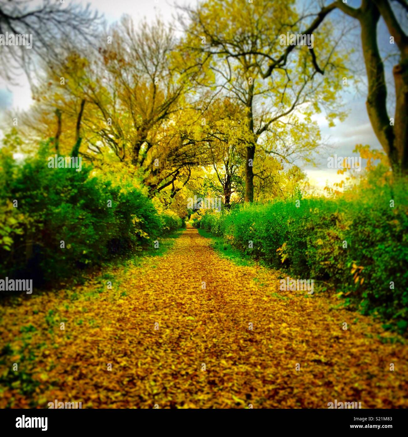 Debdale park hi-res stock photography and images - Alamy