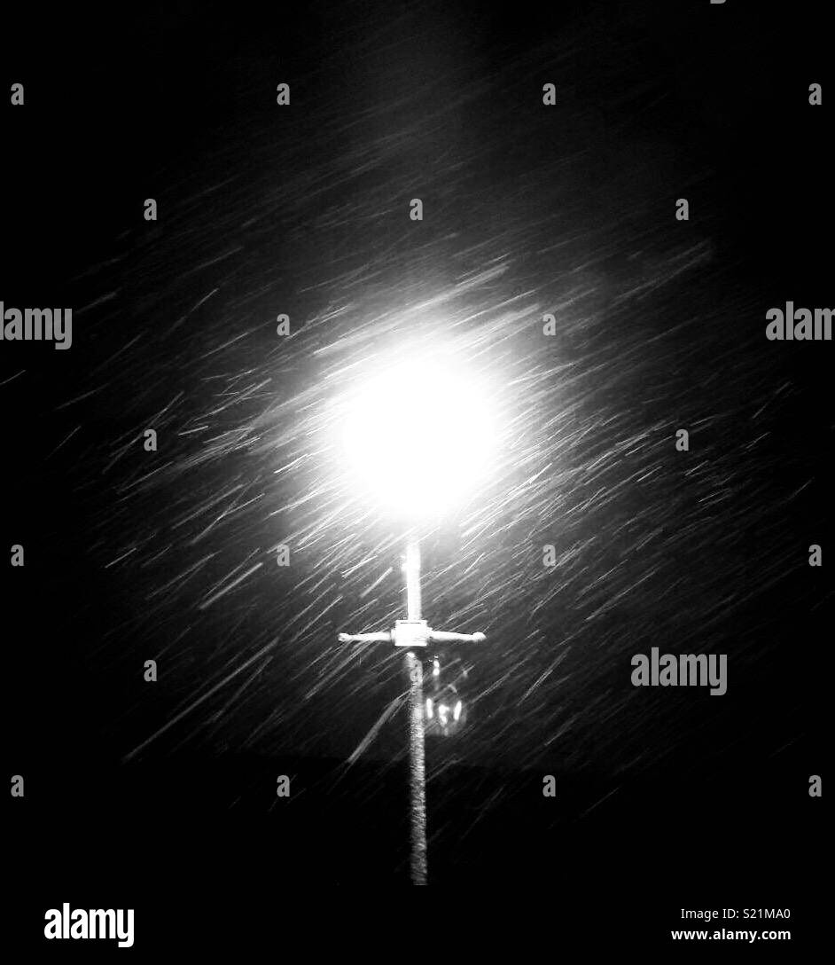 lamp post in the rain Stock Photo - Alamy