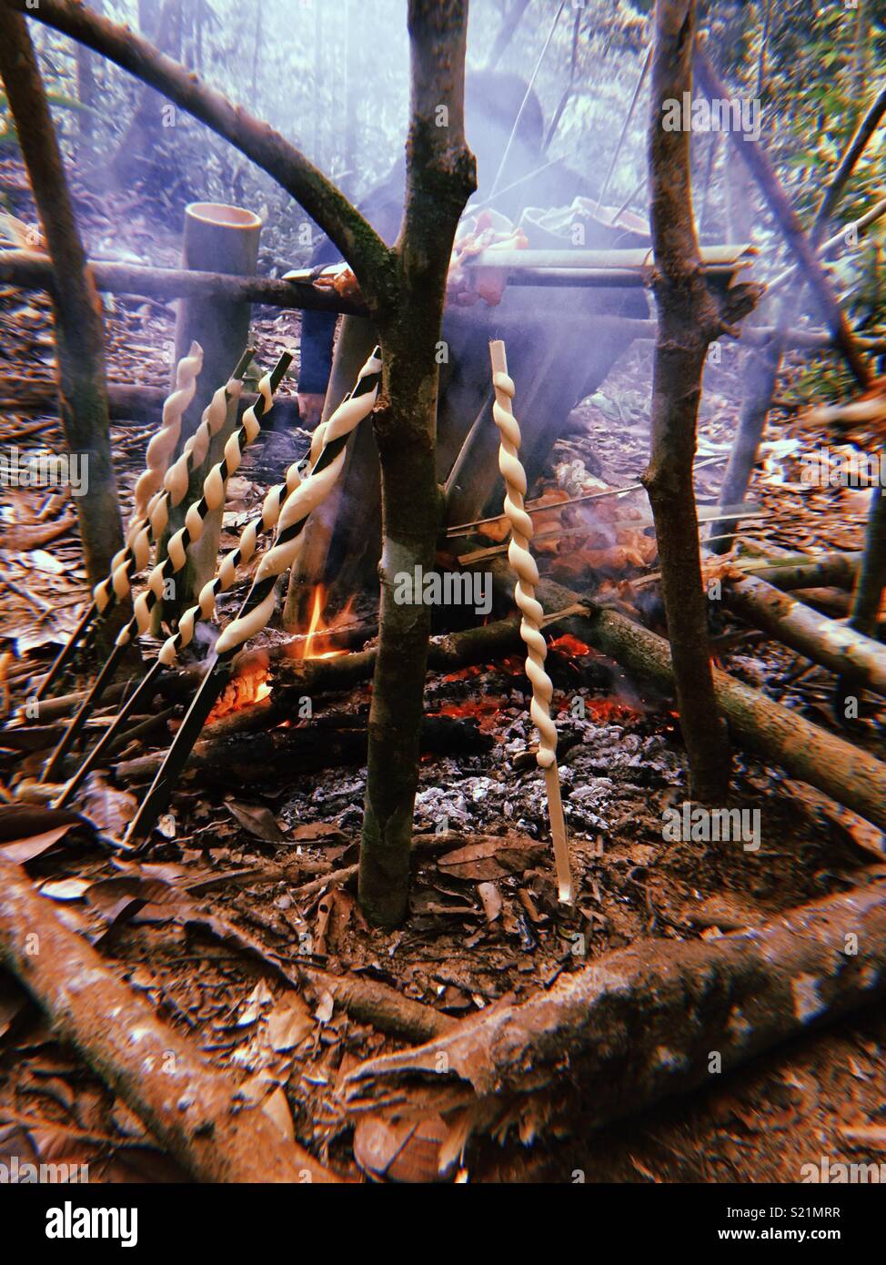 Fire jungle hi-res stock photography and images - Alamy