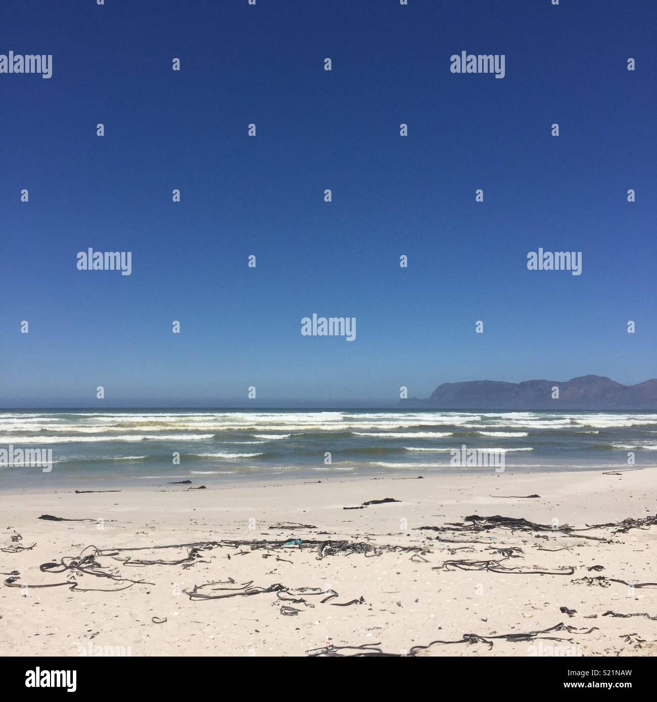 Simons town beach, South Africa Stock Photo - Alamy