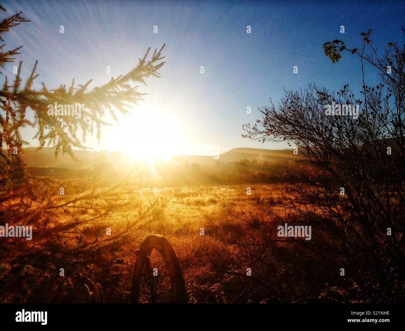 Sunny shine hi-res stock photography and images - Alamy