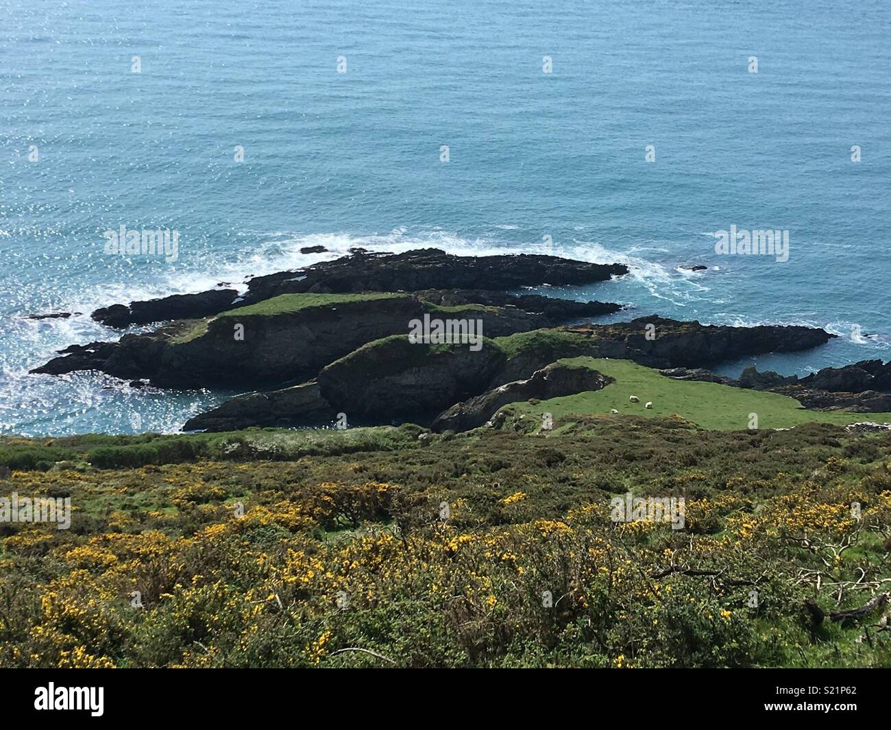 Coast path at Noss Mayo Stock Photo - Alamy