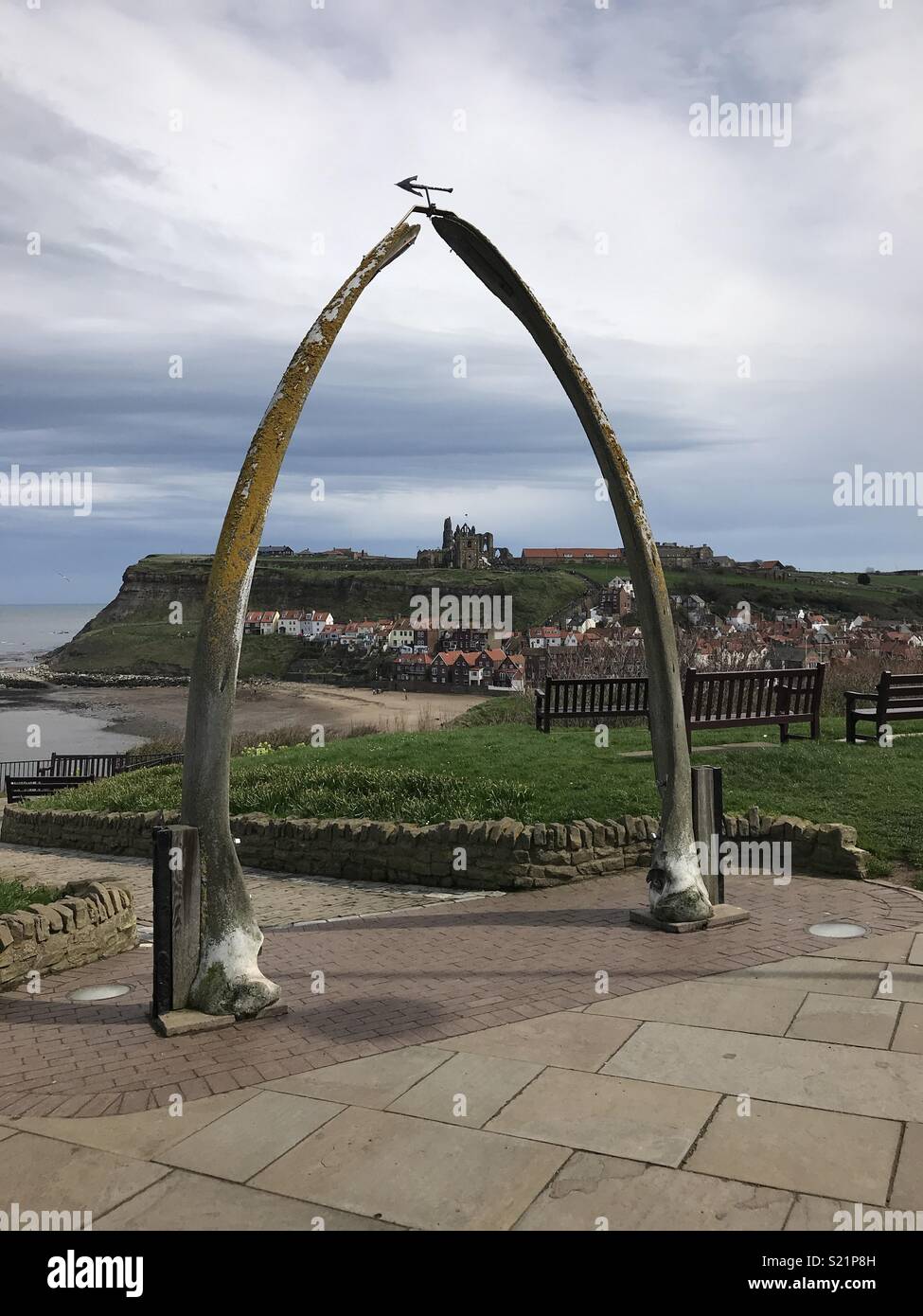 Whale jawbone hi-res stock photography and images - Alamy