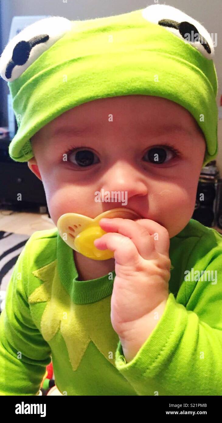 Baby frog hi-res stock photography and images - Alamy