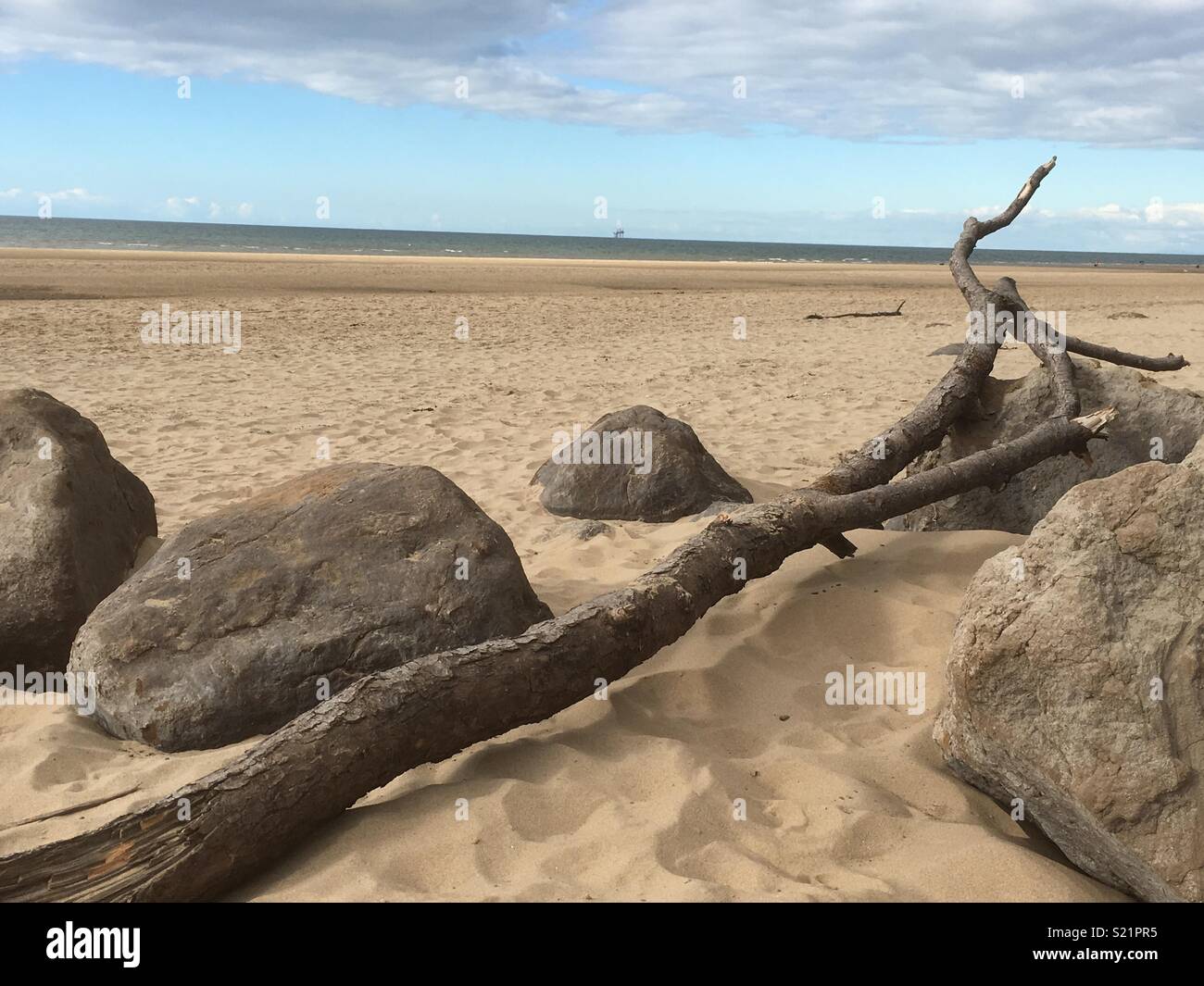 Beach with driftwood and rocks hi-res stock photography and images - Alamy
