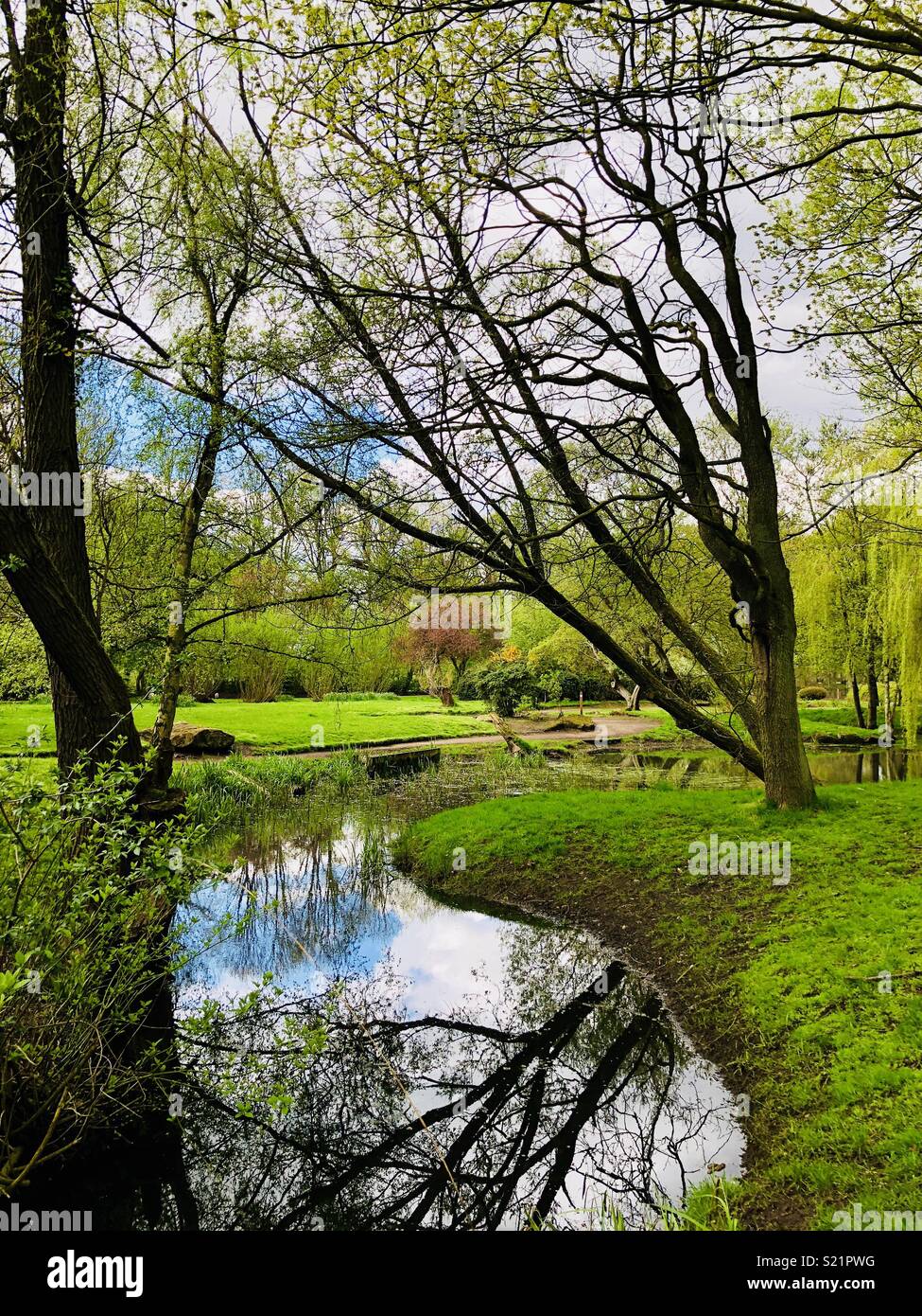 Calderstones Park Stock Photos & Calderstones Park Stock Images - Alamy