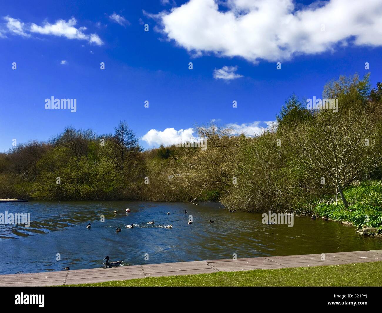 Edge of Loch water Stock Photo - Alamy