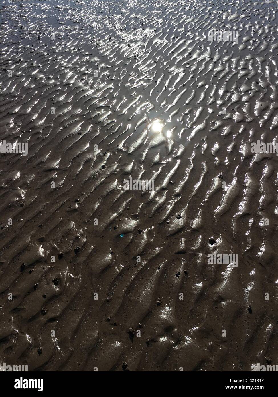 The sun and the sand hi-res stock photography and images - Alamy