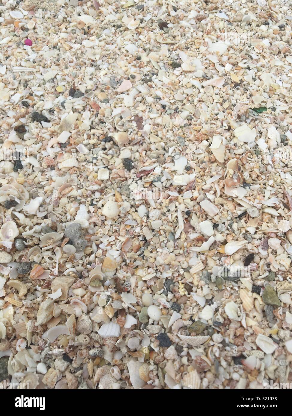 Pebbles and broken shells hi-res stock photography and images - Alamy