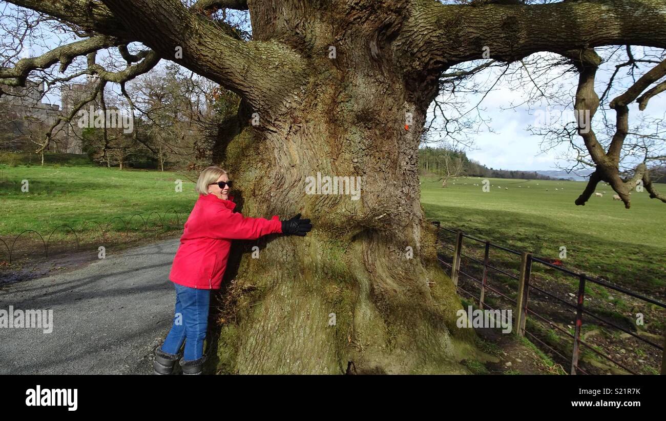 Tree hugger hi-res stock photography and images - Alamy
