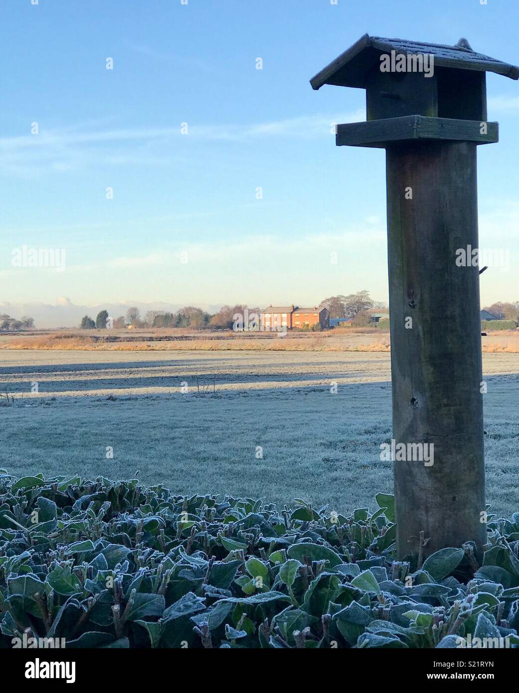 Mosslands hi-res stock photography and images - Alamy