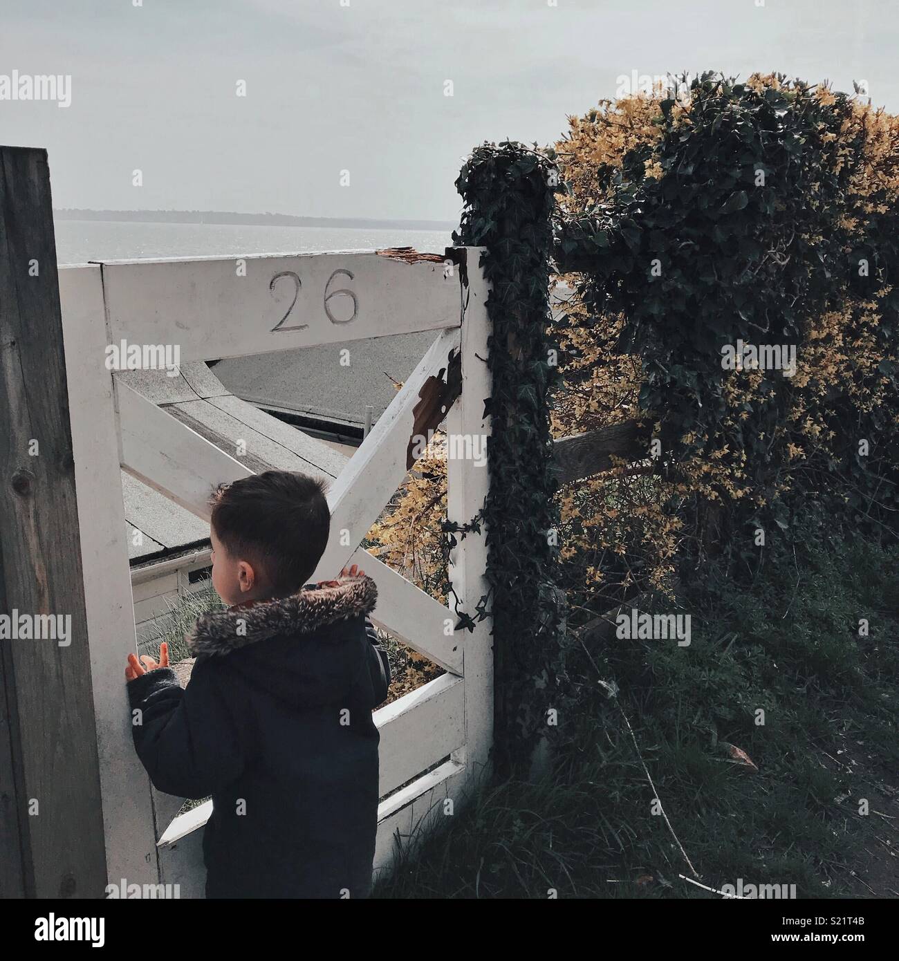 Little boy looking through a white gate out to sea Stock Photo - Alamy