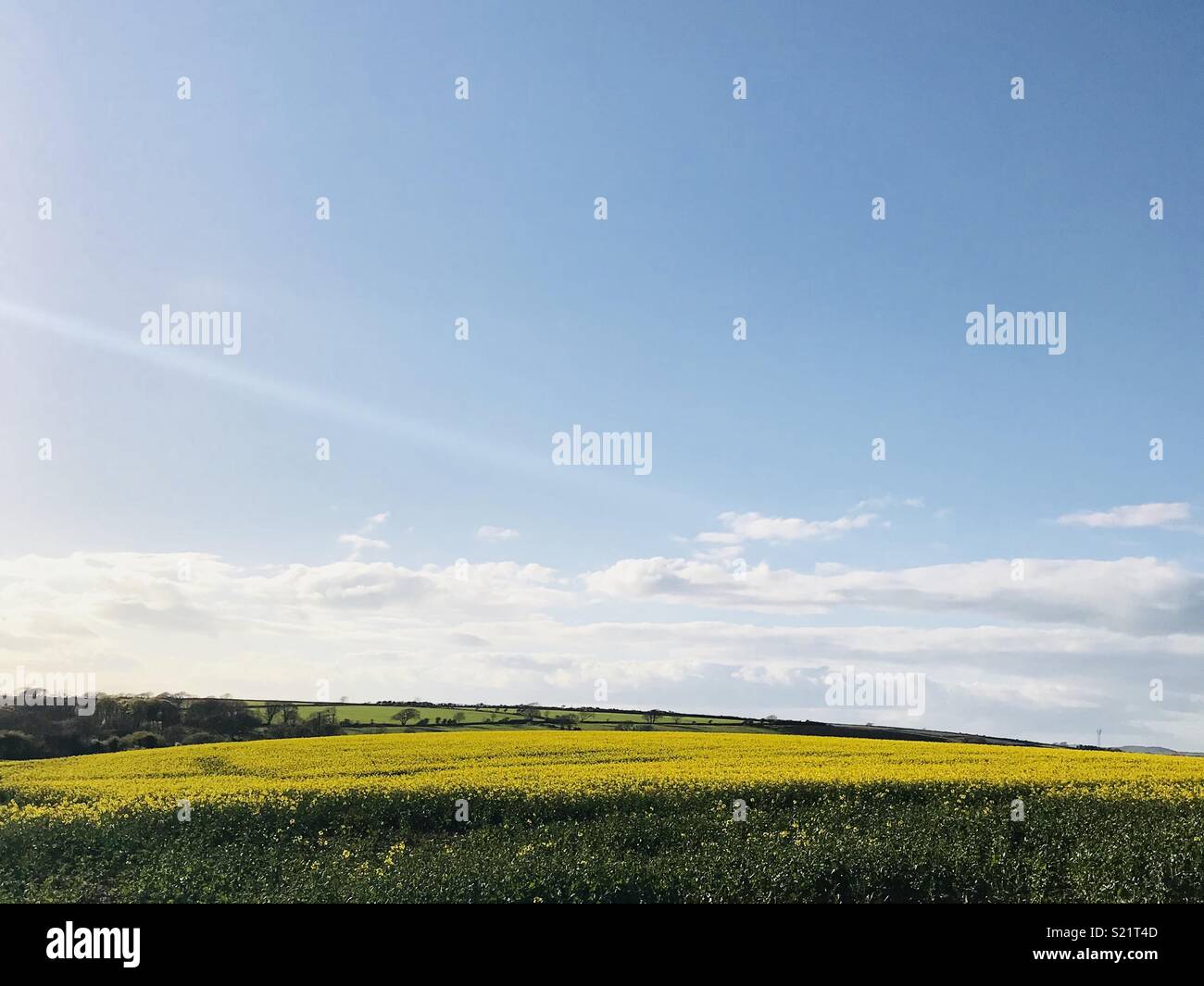 Fields of gold hi-res stock photography and images - Alamy
