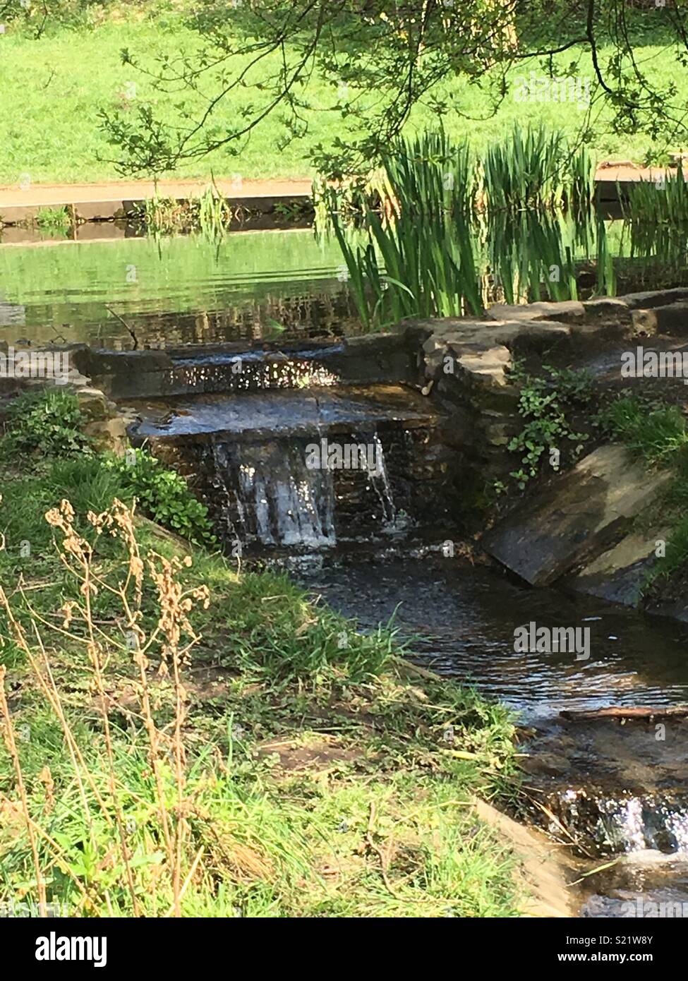 Pond scene hi-res stock photography and images - Alamy