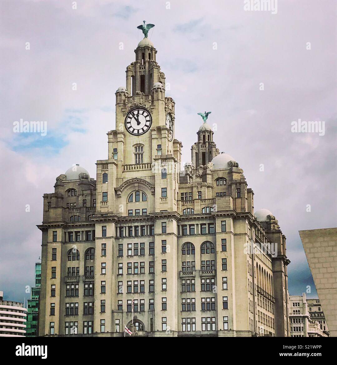 Liver birds hi-res stock photography and images - Alamy