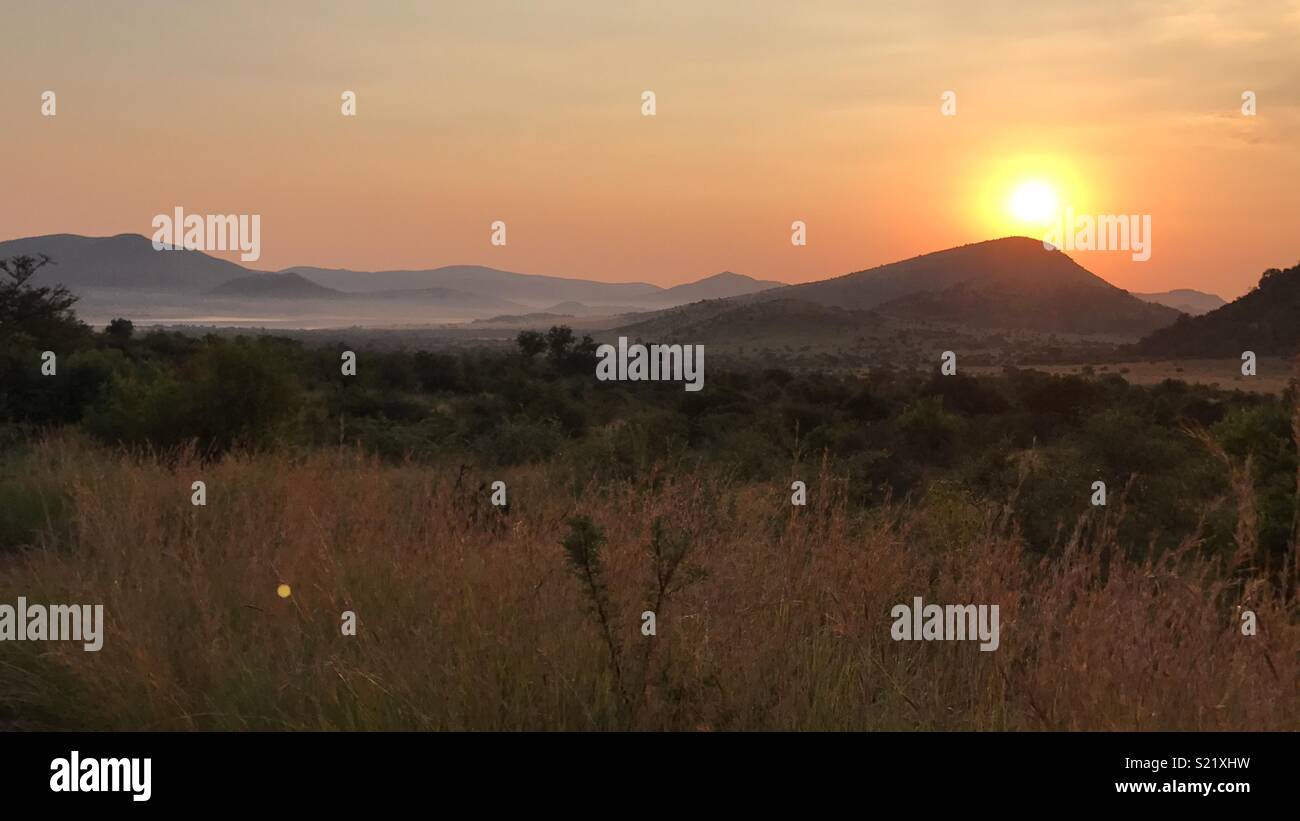 African savannah sunset hi-res stock photography and images - Alamy